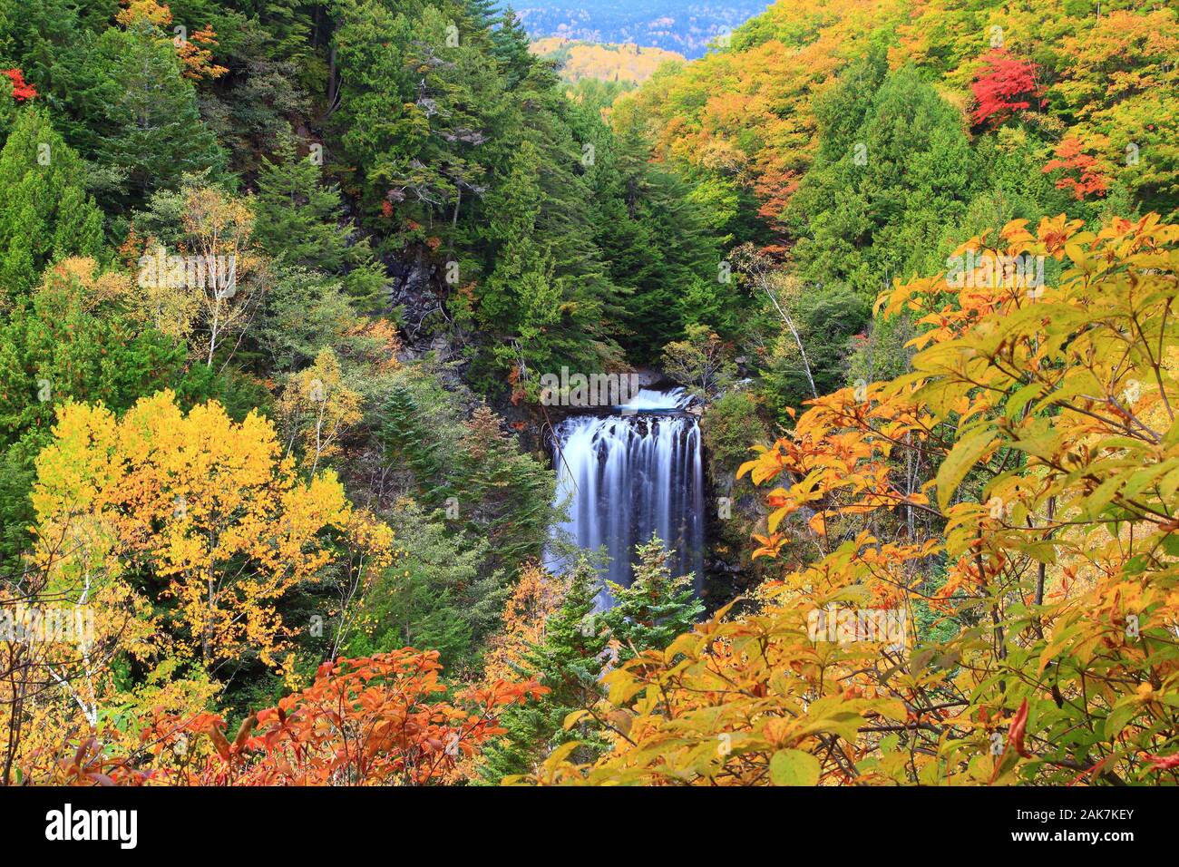 Shin Etsu High Resolution Stock Photography and Images - Alamy