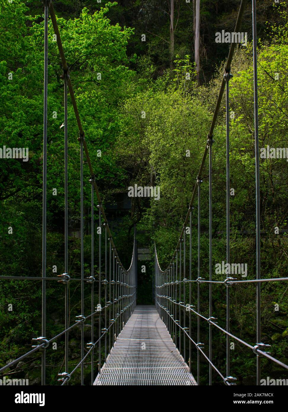 Bridge metal cables hi-res stock photography and images - Alamy