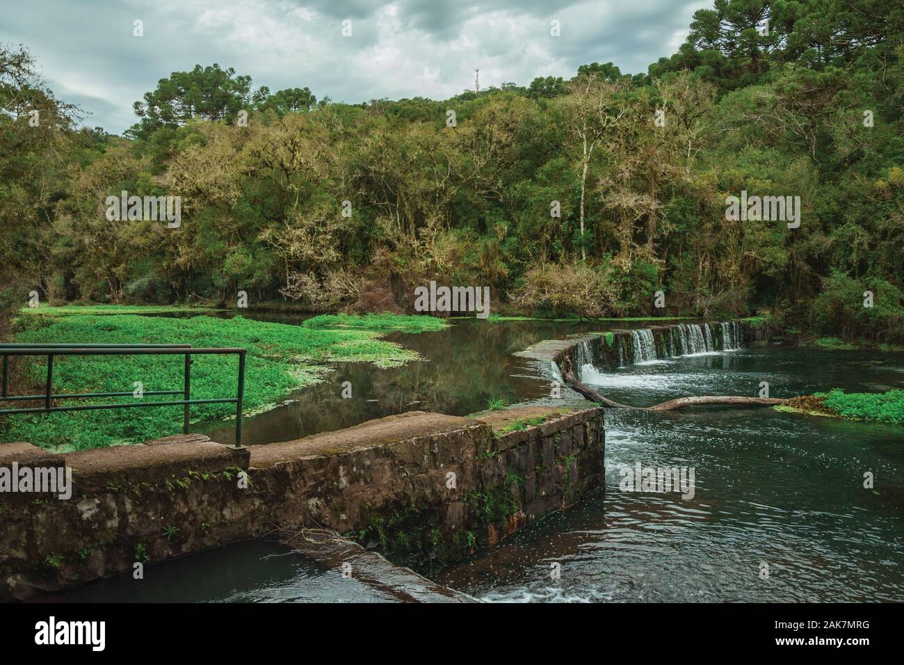 Stone dam in a river running through lush forest on a cloudy day at the ...