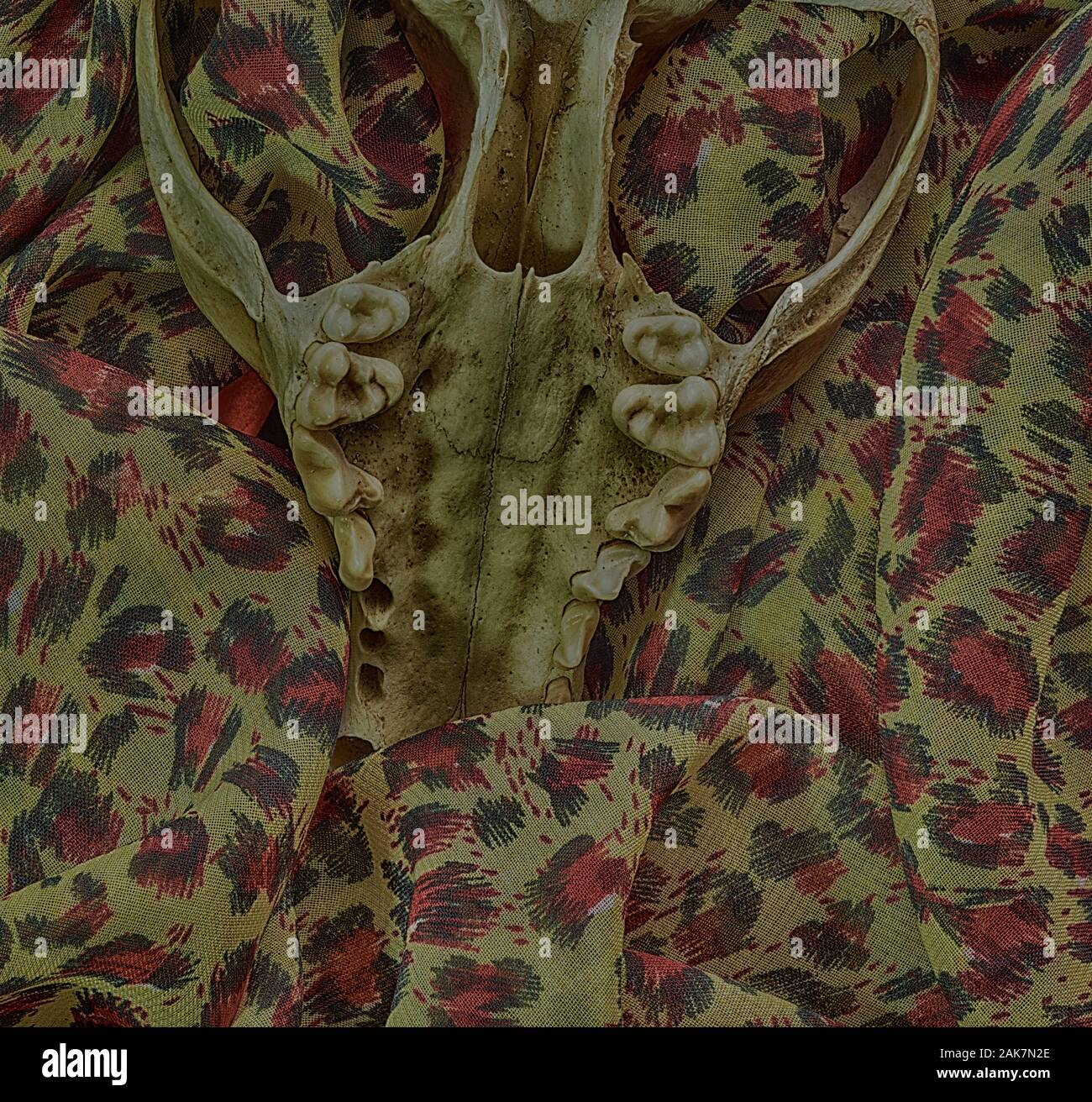 Honeycomb like matrix hi-res stock photography and images - Alamy