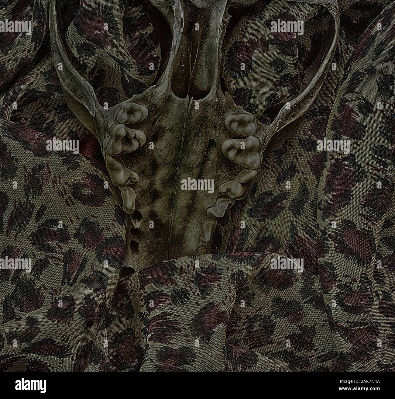 Honeycomb like matrix hi-res stock photography and images - Alamy