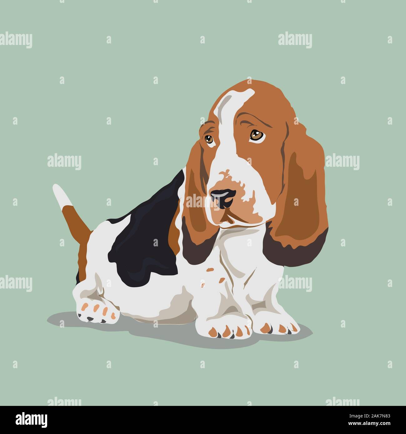 basset hound sad dog isolated at the one color background Stock Photo ...