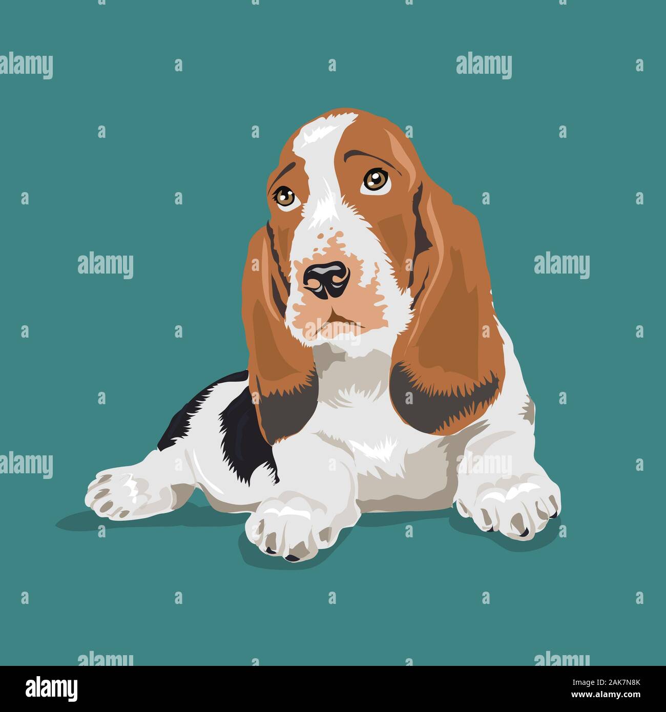 basset hound sad dog isolated at the one color background Stock Photo ...