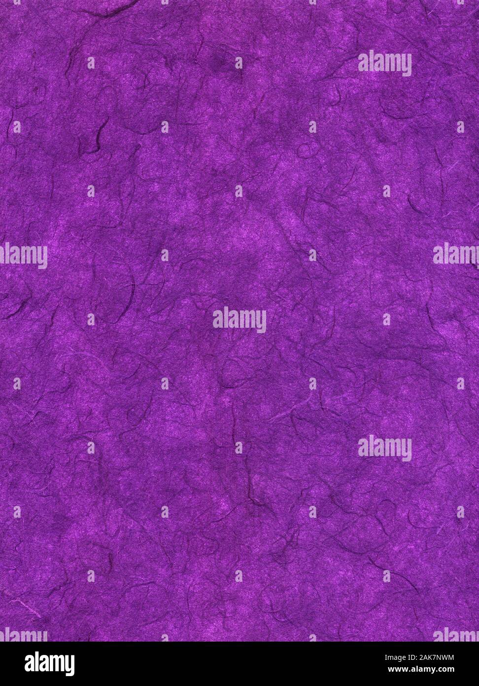 New purple backdrop hi-res stock photography and images - Alamy