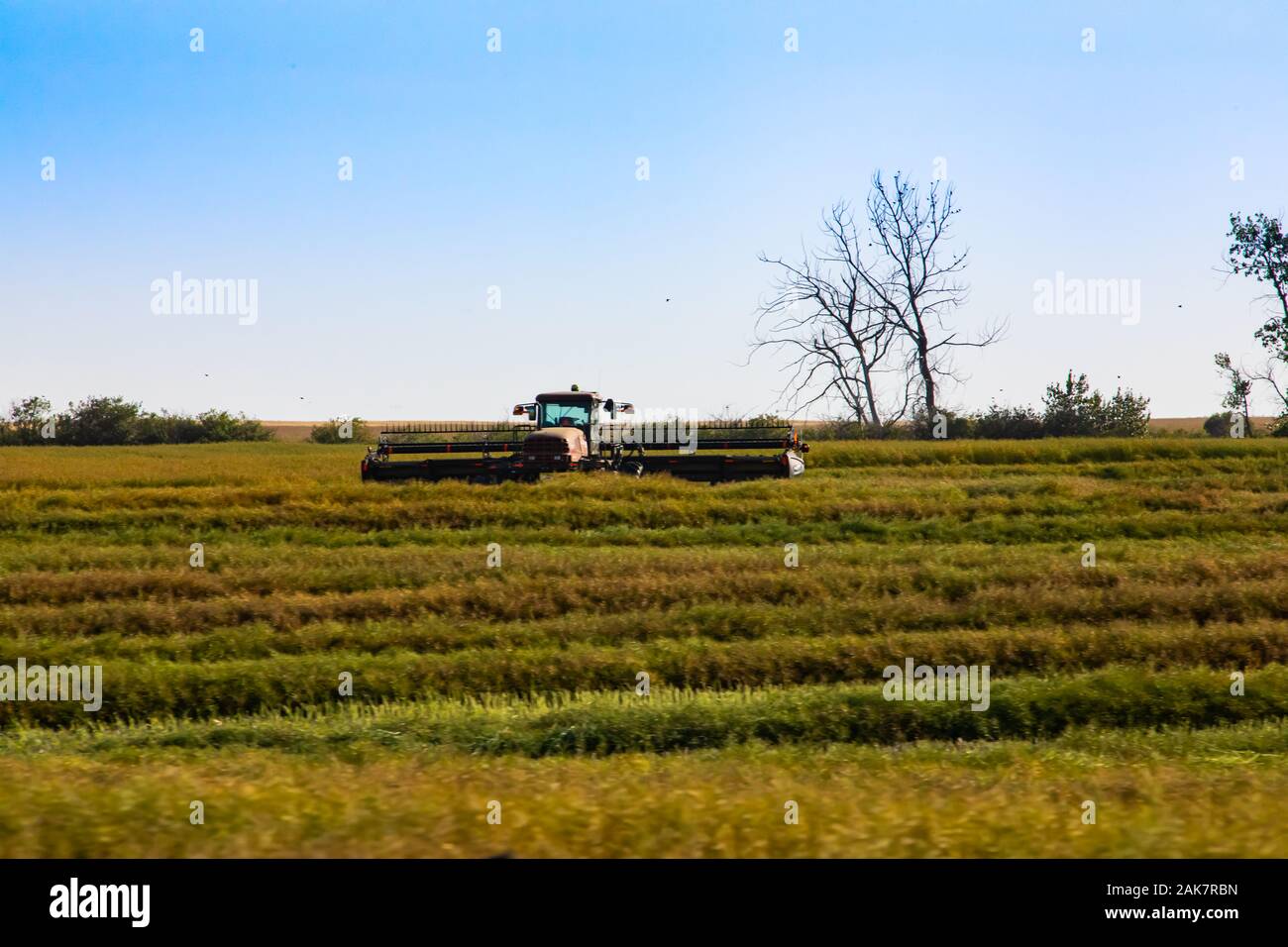 A wide angle view of a tractor operated combine harvester attachment at ...