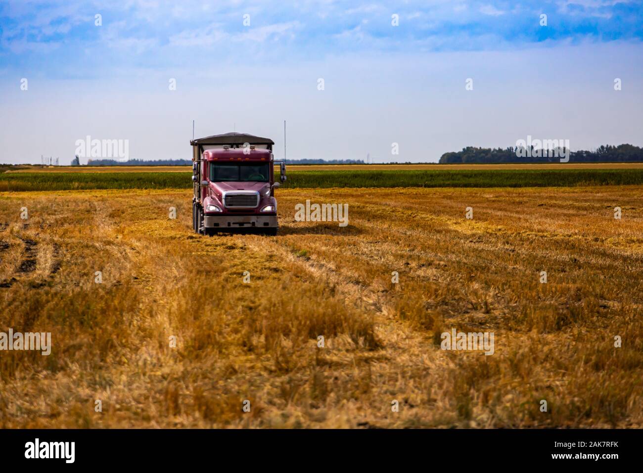 Truck Crops High Resolution Stock Photography and Images - Alamy