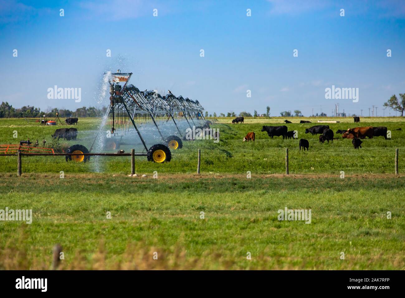 Overhead sprinkler system hi-res stock photography and images - Alamy