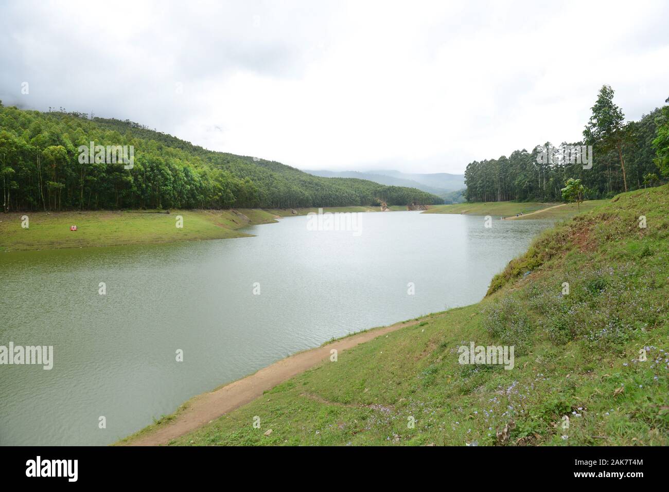 The Kundala Lake near Munnar, Kerela, India Stock Photo - Alamy