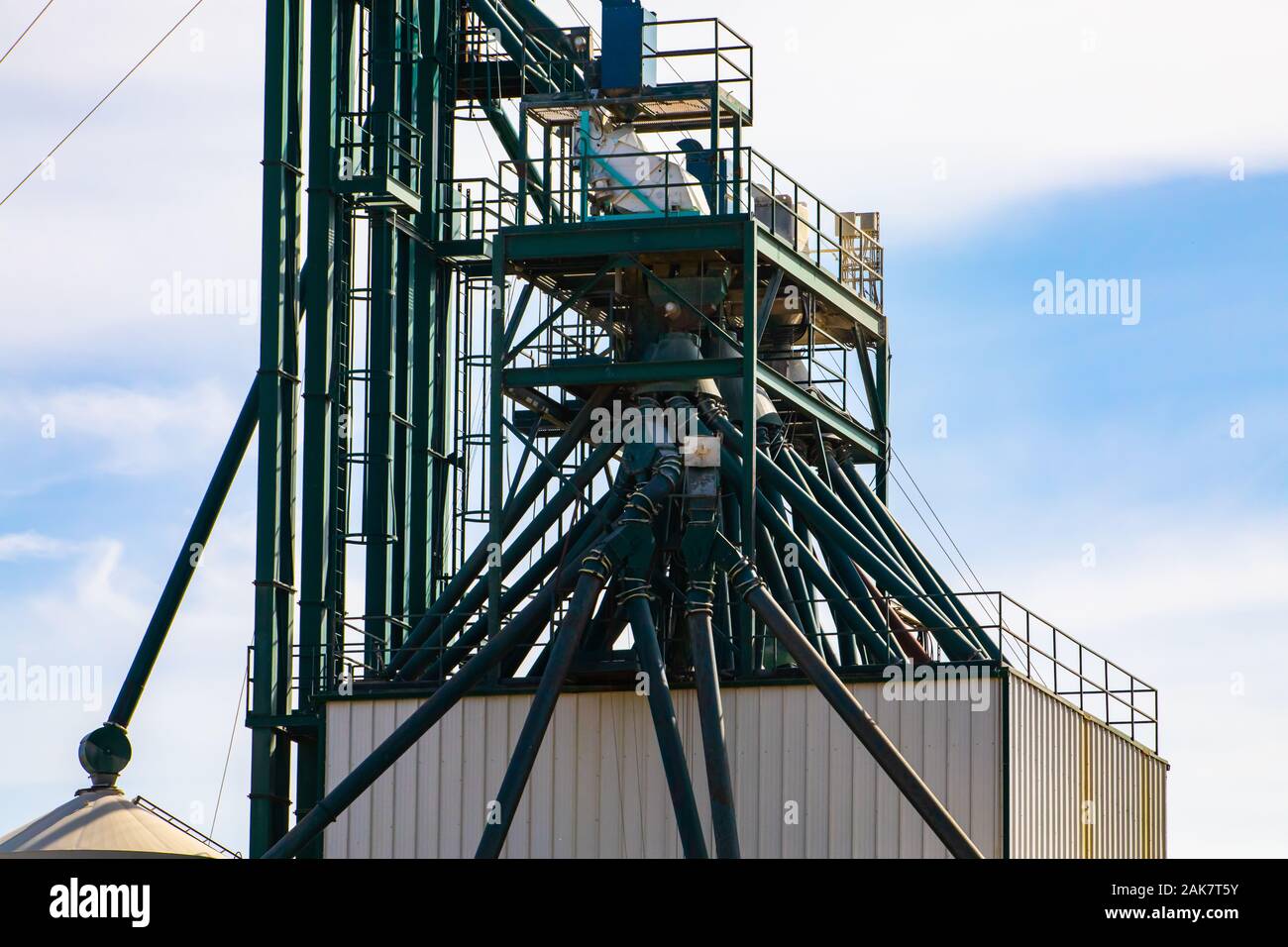 A closeup view of the complex architectural elements of a food grains ...