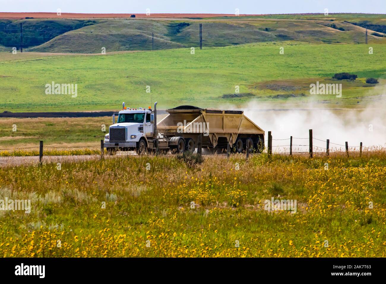 A large transport truck pulls heavy trailer of farm goods on a rural ...
