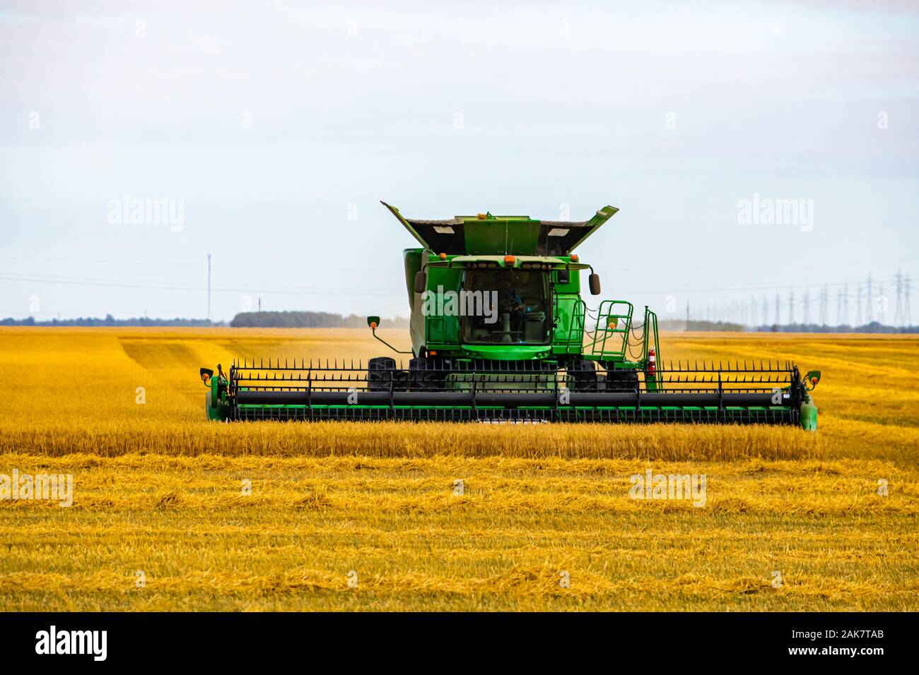 A wide angle and front view of a big combine harvester working during ...