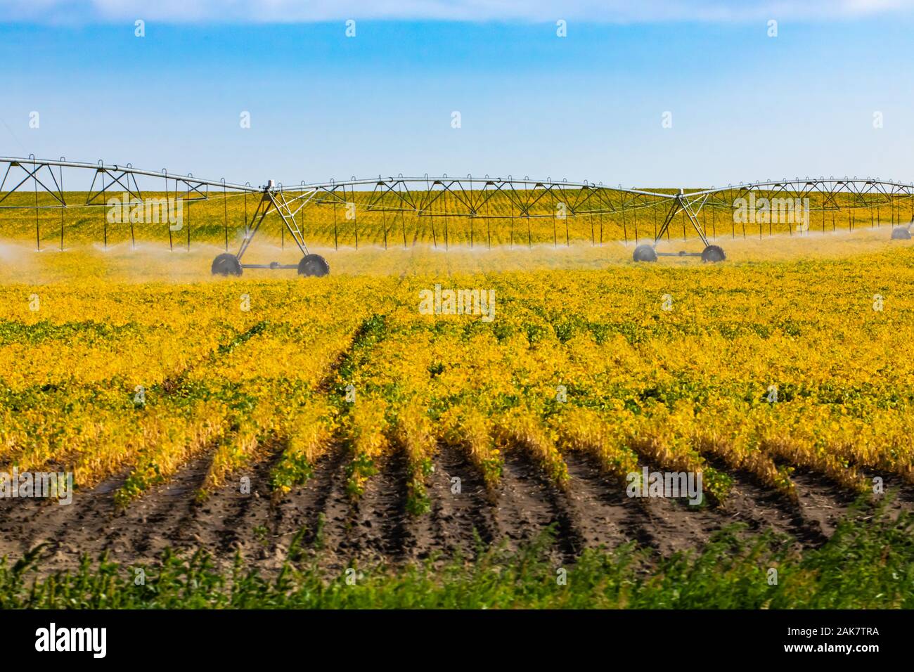 Overhead sprinkler irrigation hi-res stock photography and images - Alamy