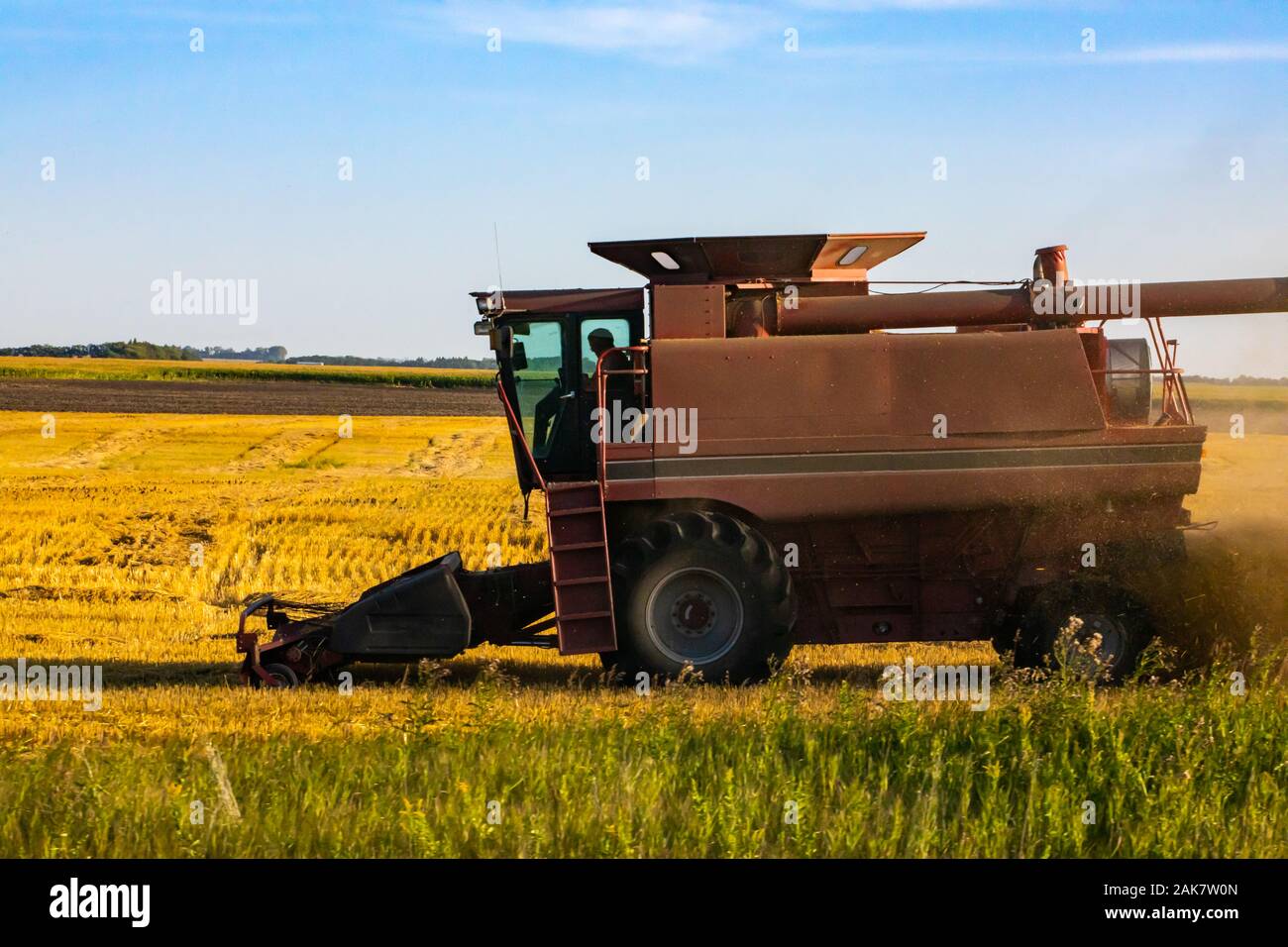 A side profile view of a large combine harvester farm machine at work ...