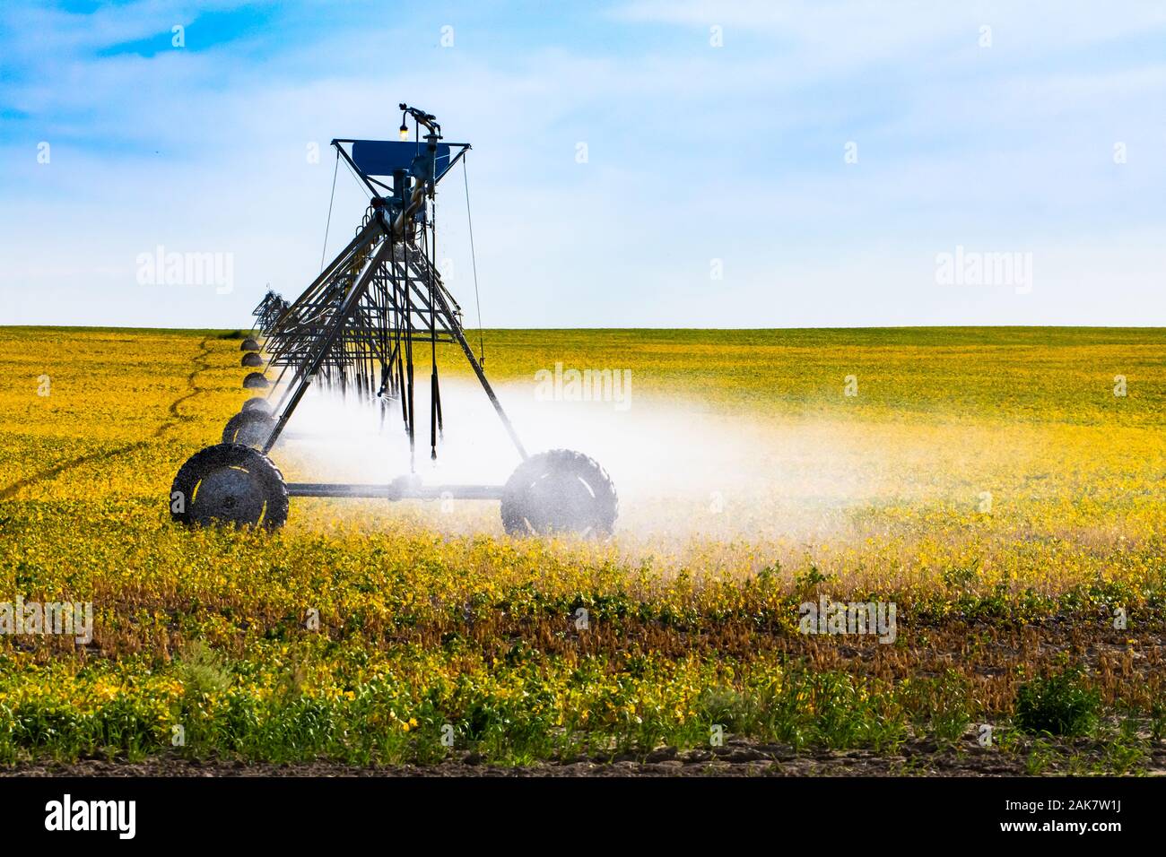 Fine water mist is seen coming from a portable pivot irrigation system ...