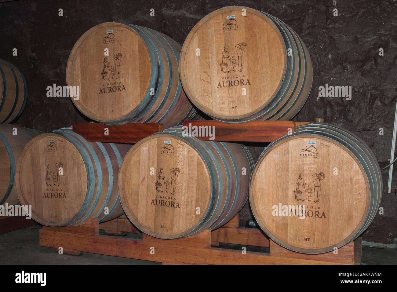 Pile of wood barrels for wine storage in a cellar from the Aurora ...