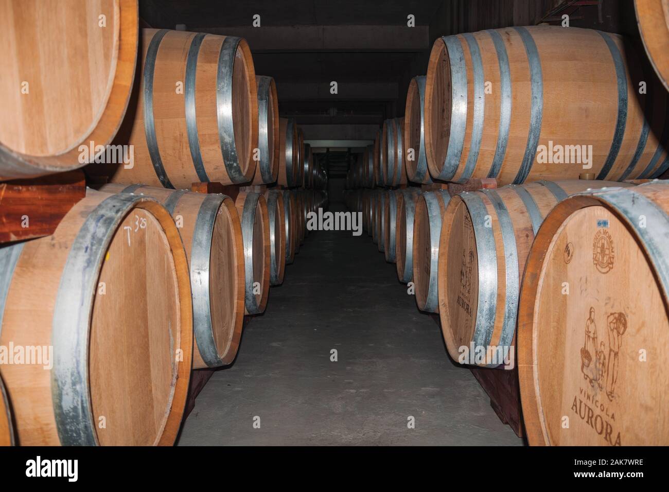 Corridor with several wood barrels for wine storage in the Aurora ...