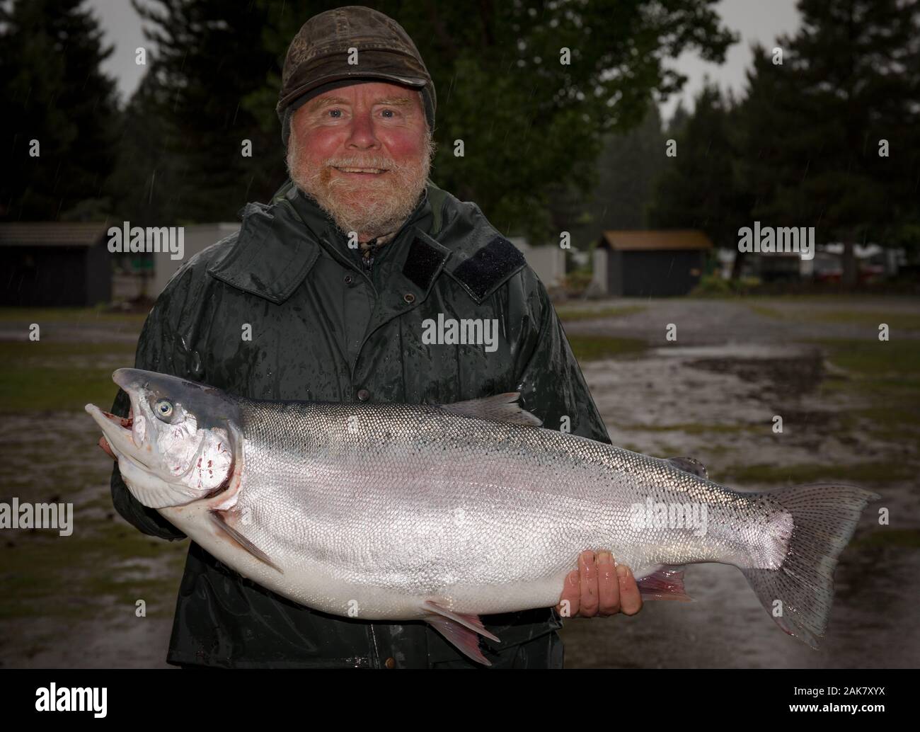 Monster Rainbow Trout weighing 28 lbs, caught in the Twizel Canals, New ...
