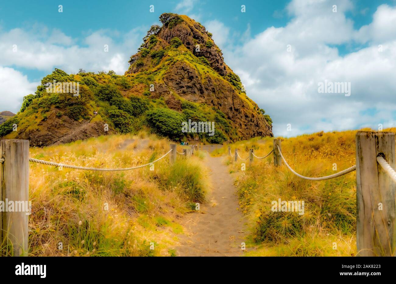 Piha Beach, New Zealand Stock Photo - Alamy