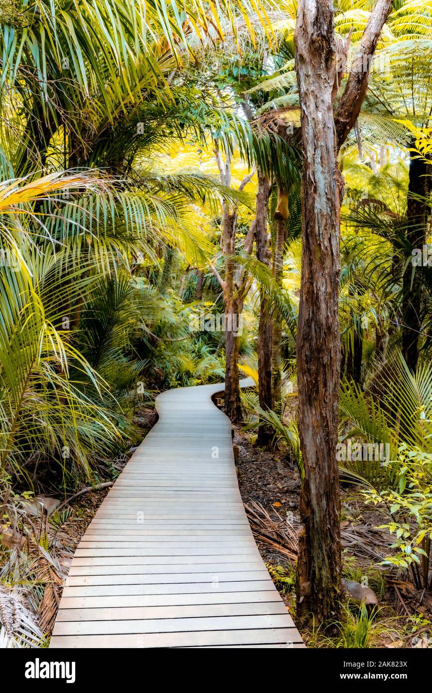 Piha falls hi-res stock photography and images - Alamy
