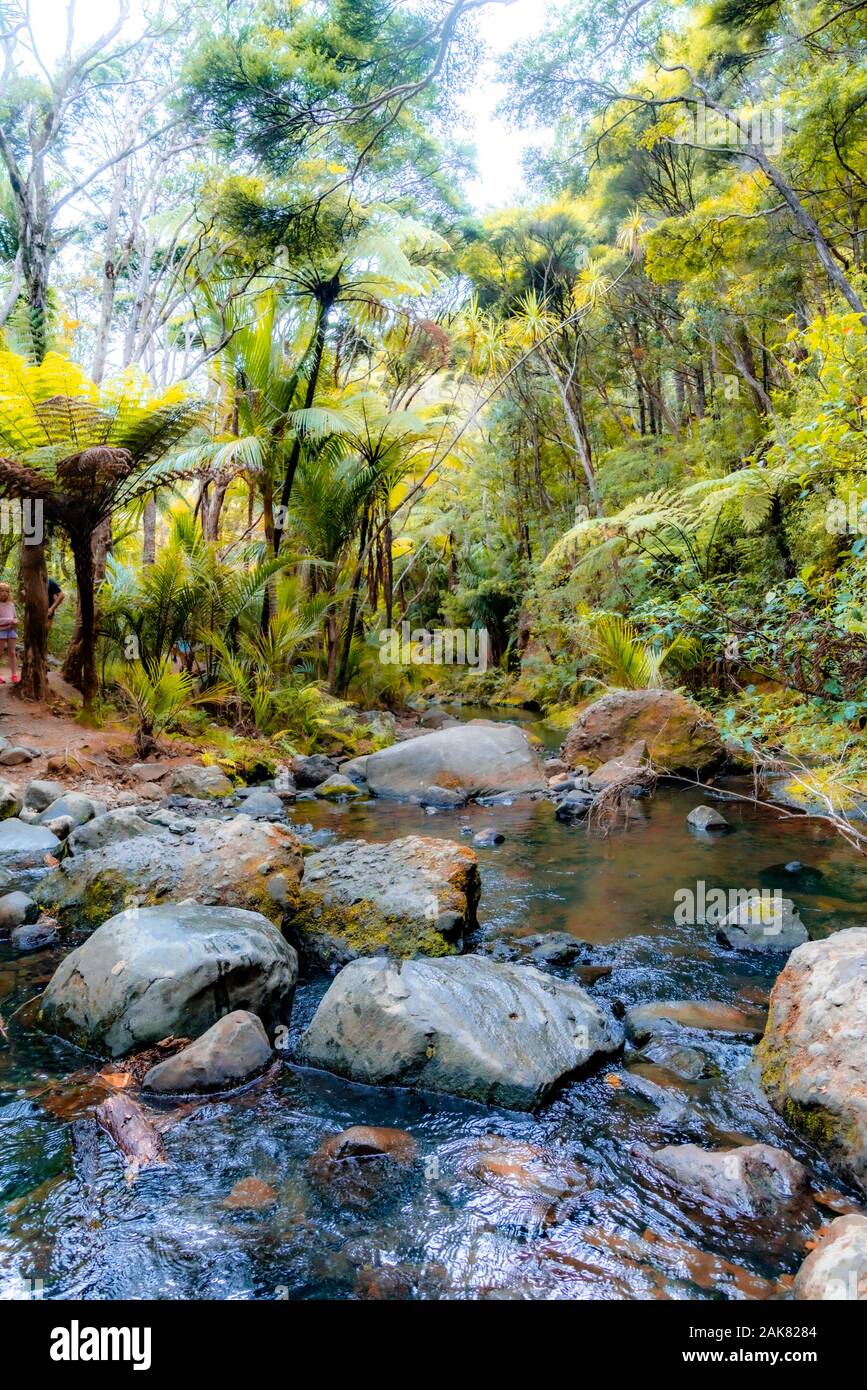 Piha falls hi-res stock photography and images - Alamy