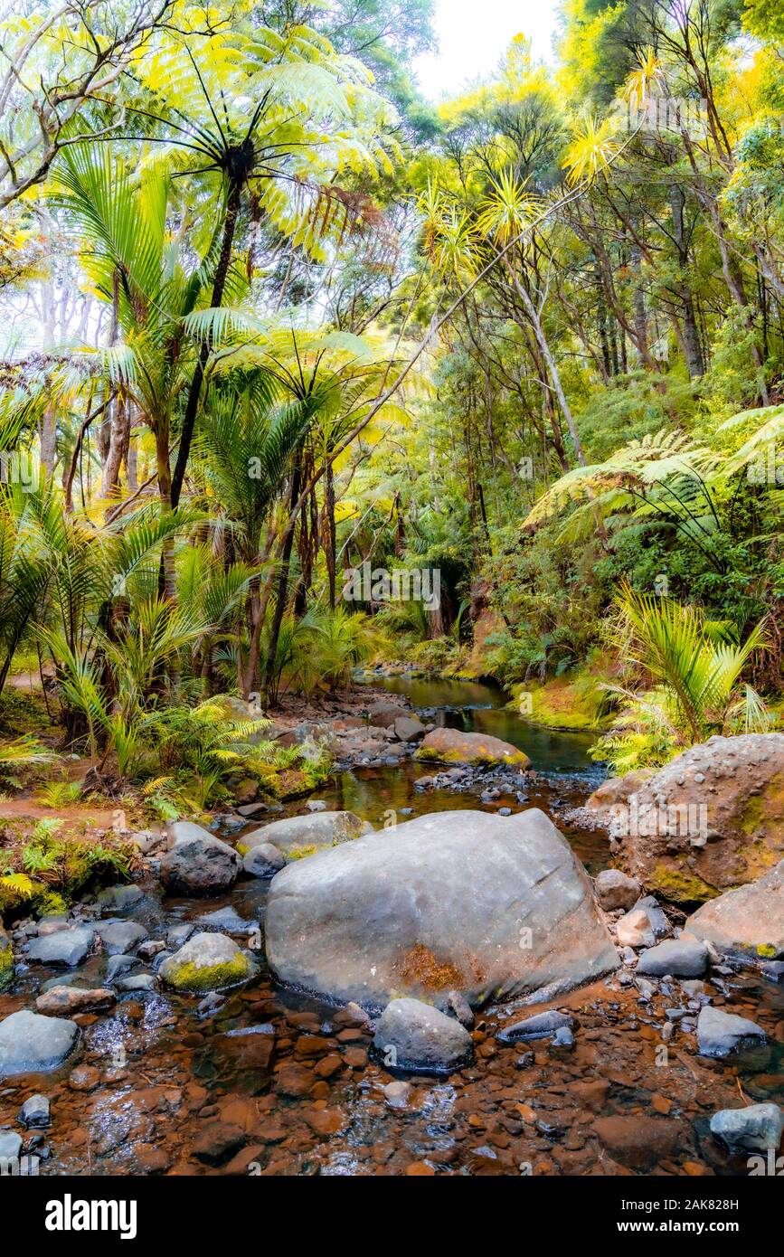 Piha falls hi-res stock photography and images - Alamy