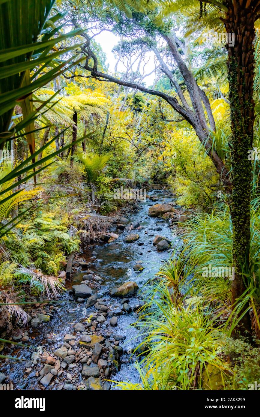 Piha falls hi-res stock photography and images - Alamy