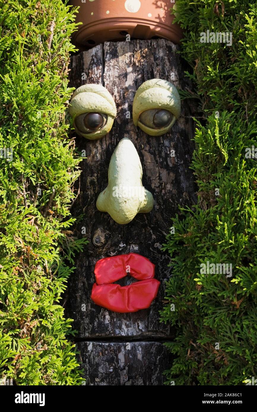 Funny hedges hi-res stock photography and images - Alamy