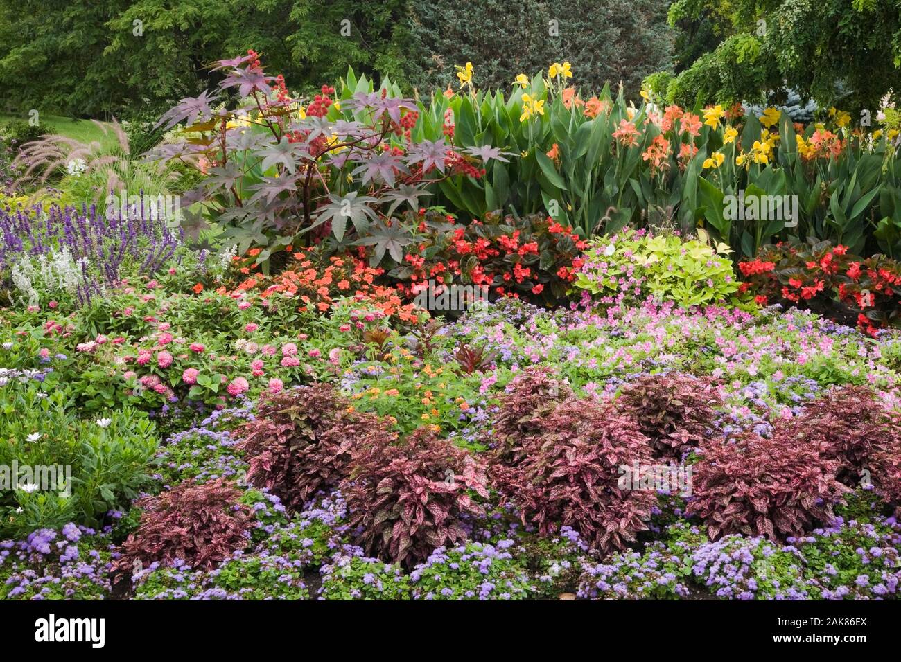 Assorted shrubs hi-res stock photography and images - Alamy