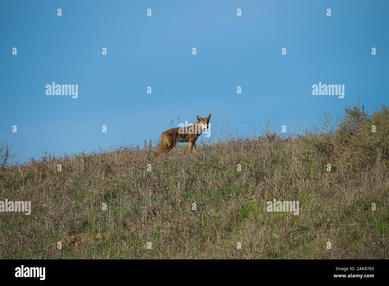 Rj styles hi-res stock photography and images - Alamy