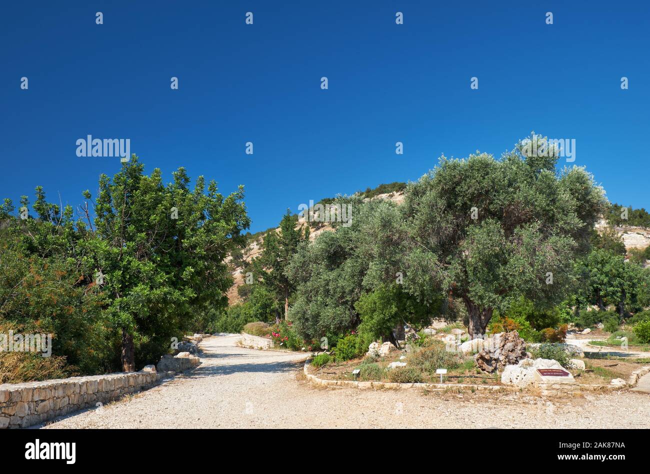 LATCHI, CYPRUS - JUNE 07, 2018: The path with the signpost to Baths of ...