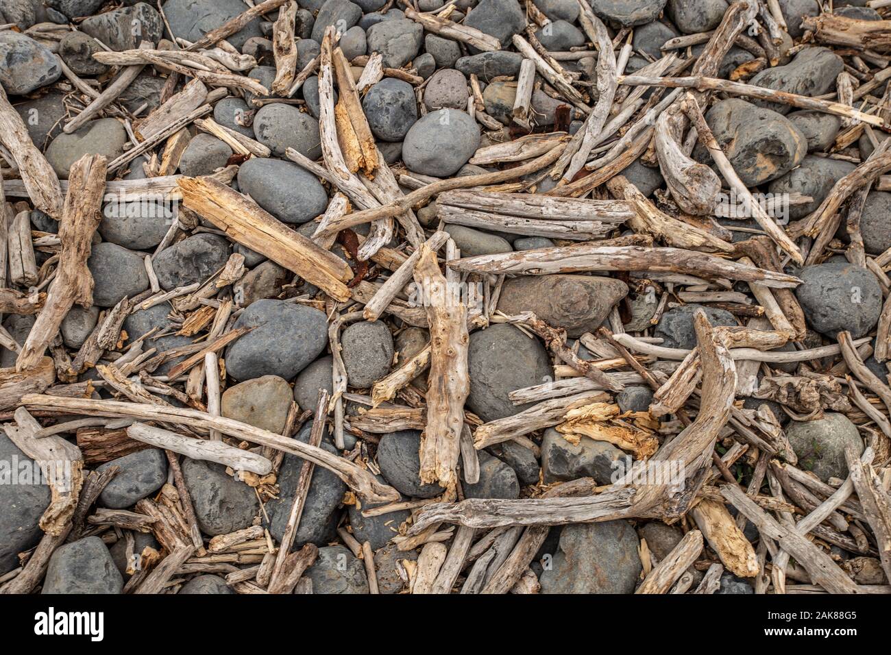 Driftwood on beach, abstract background natural grunge texture, Coastal ...