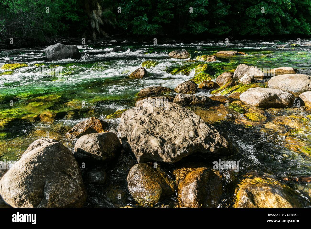 Transparent water of Rio Correntoso, the shortest river in the world ...