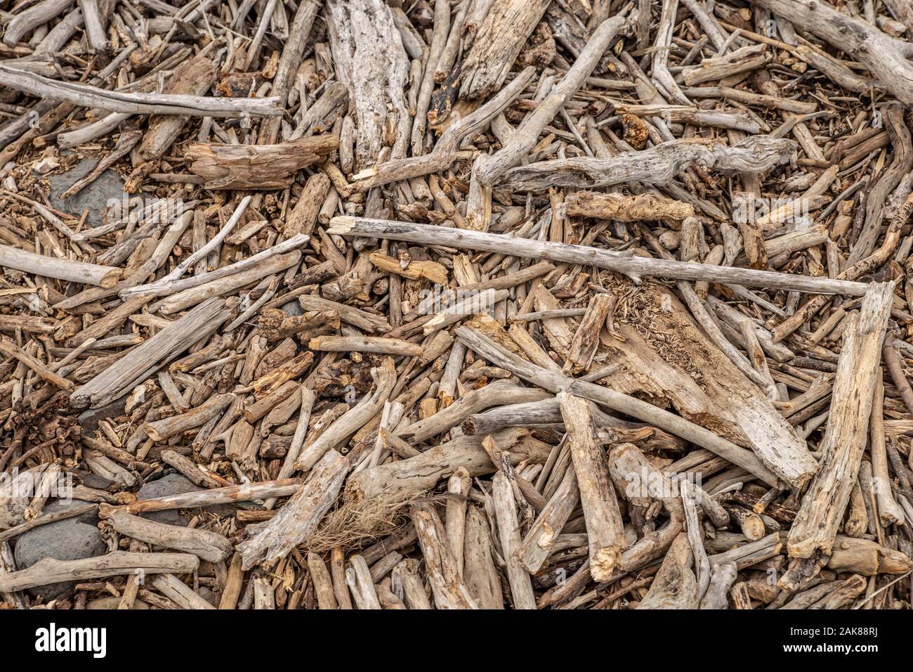 Driftwood on beach, abstract background natural grunge texture, Coastal ...