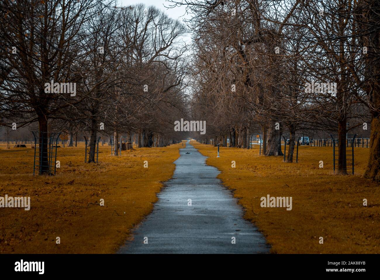 Perspective view of a park pathway where people trek and run, with ...