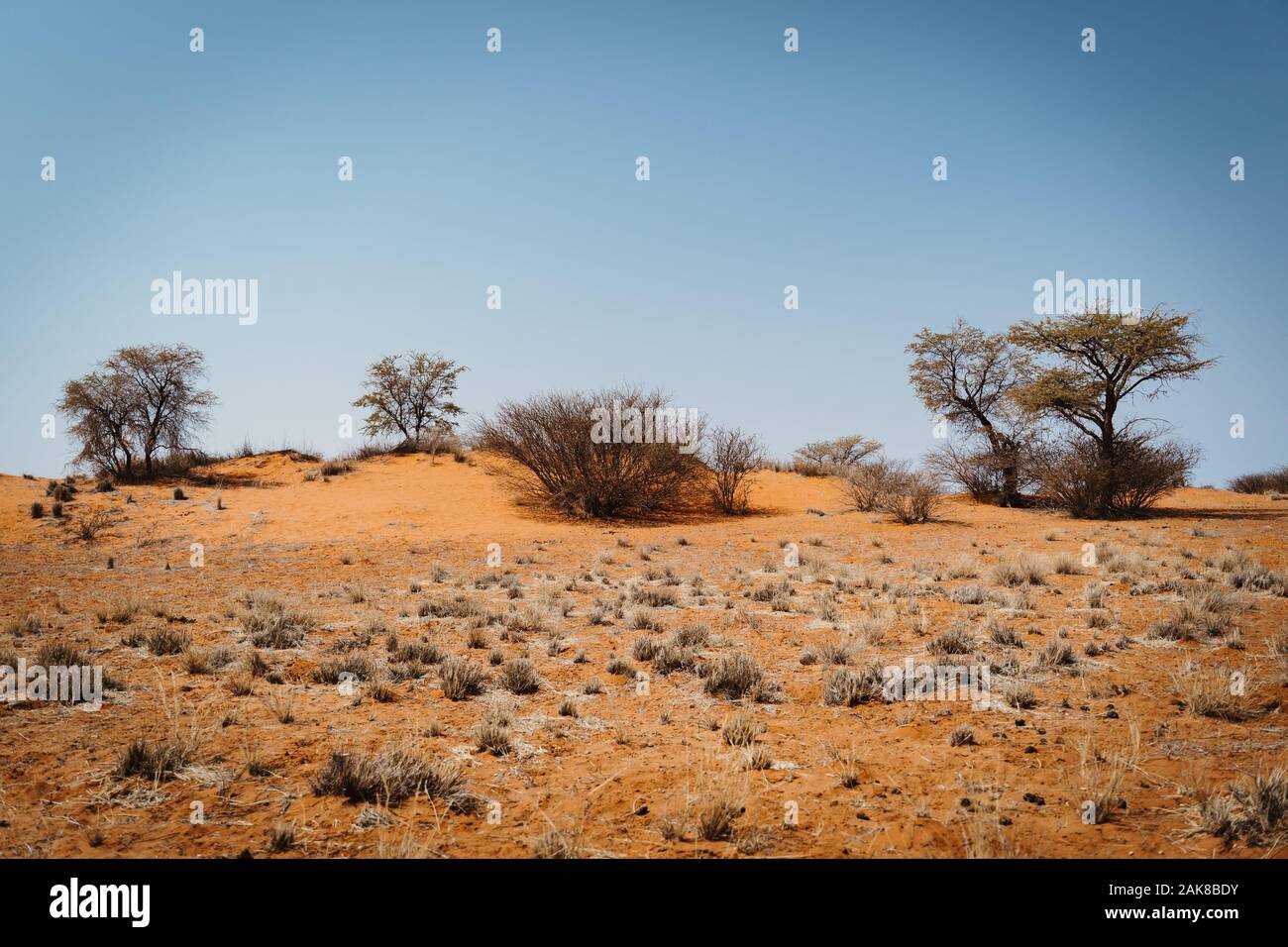 photo of landscape with red sand in Namibian desert Stock Photo - Alamy
