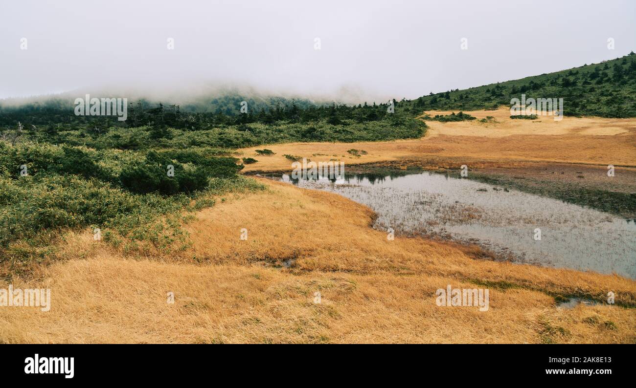 Hakkoda japan snow hi-res stock photography and images - Alamy