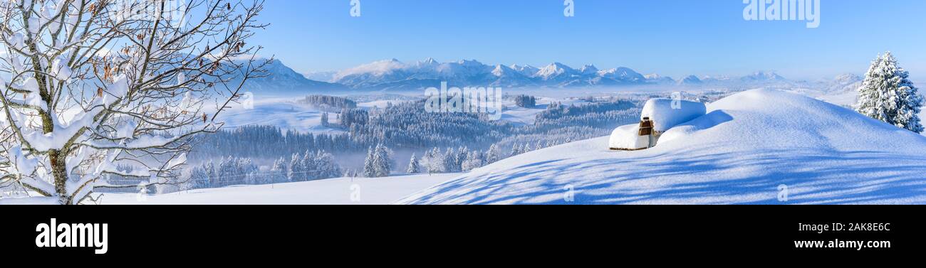 Beautiful winter morning with a lot of fresh snow at the alpine border ...