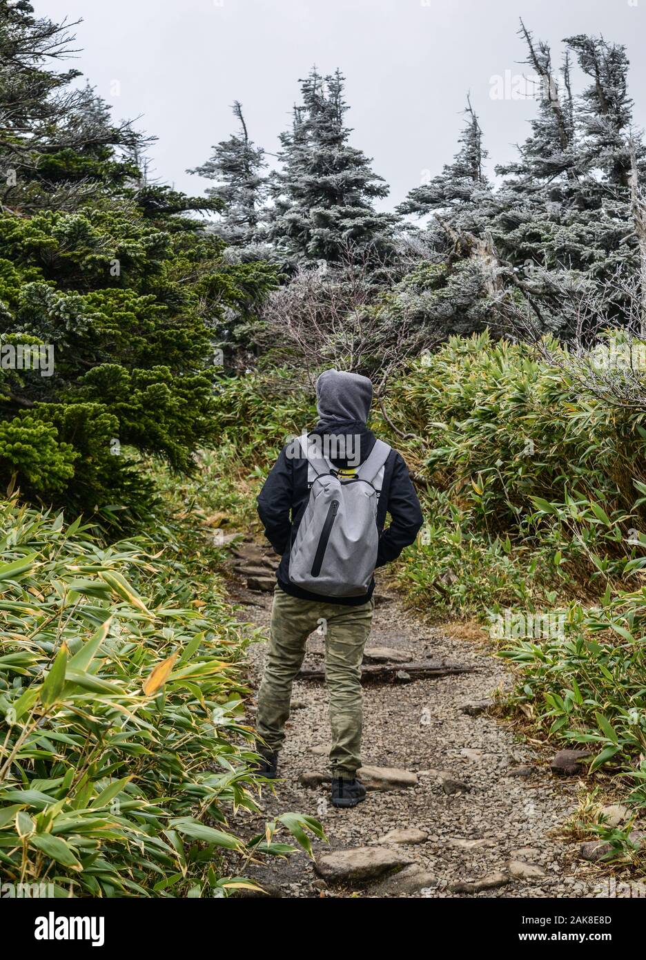 A man hiking on Hakkoda Mountains in Aomori, Japan. Hakkoda is one of ...