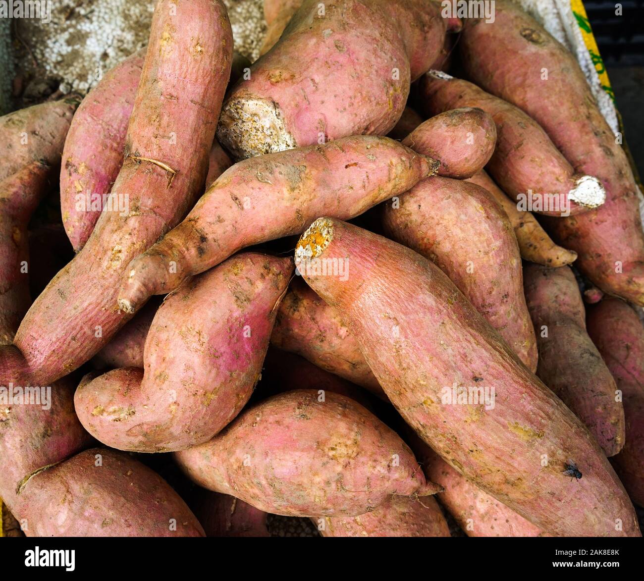 Japanese sweet potato at rural market in Nanning, China Stock Photo - Alamy