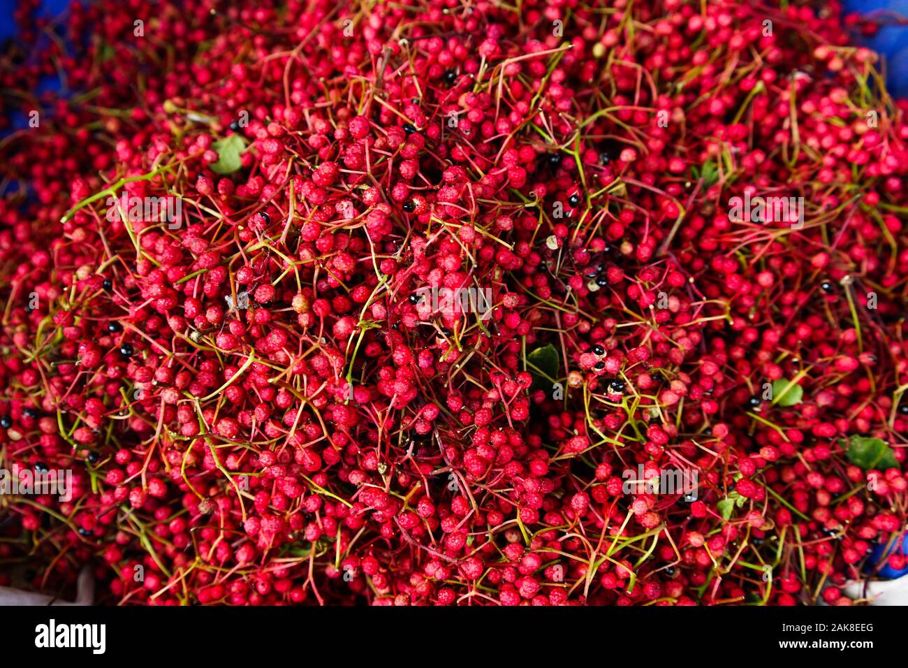 Wild red berries at rural market in Tibetan Garze, Sichuan Province ...