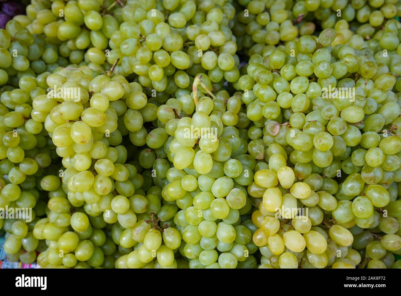 Grapes farming china hi-res stock photography and images - Alamy
