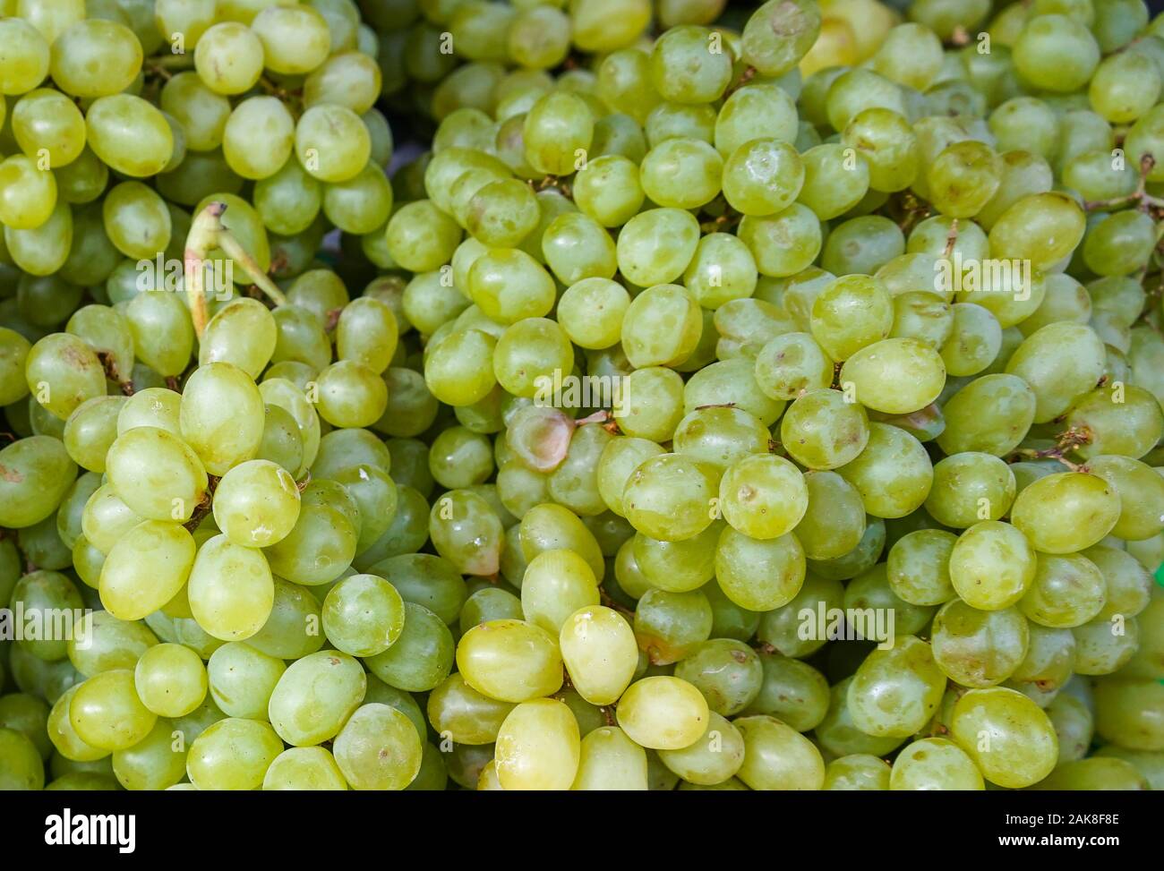Grapes farming china hi-res stock photography and images - Alamy