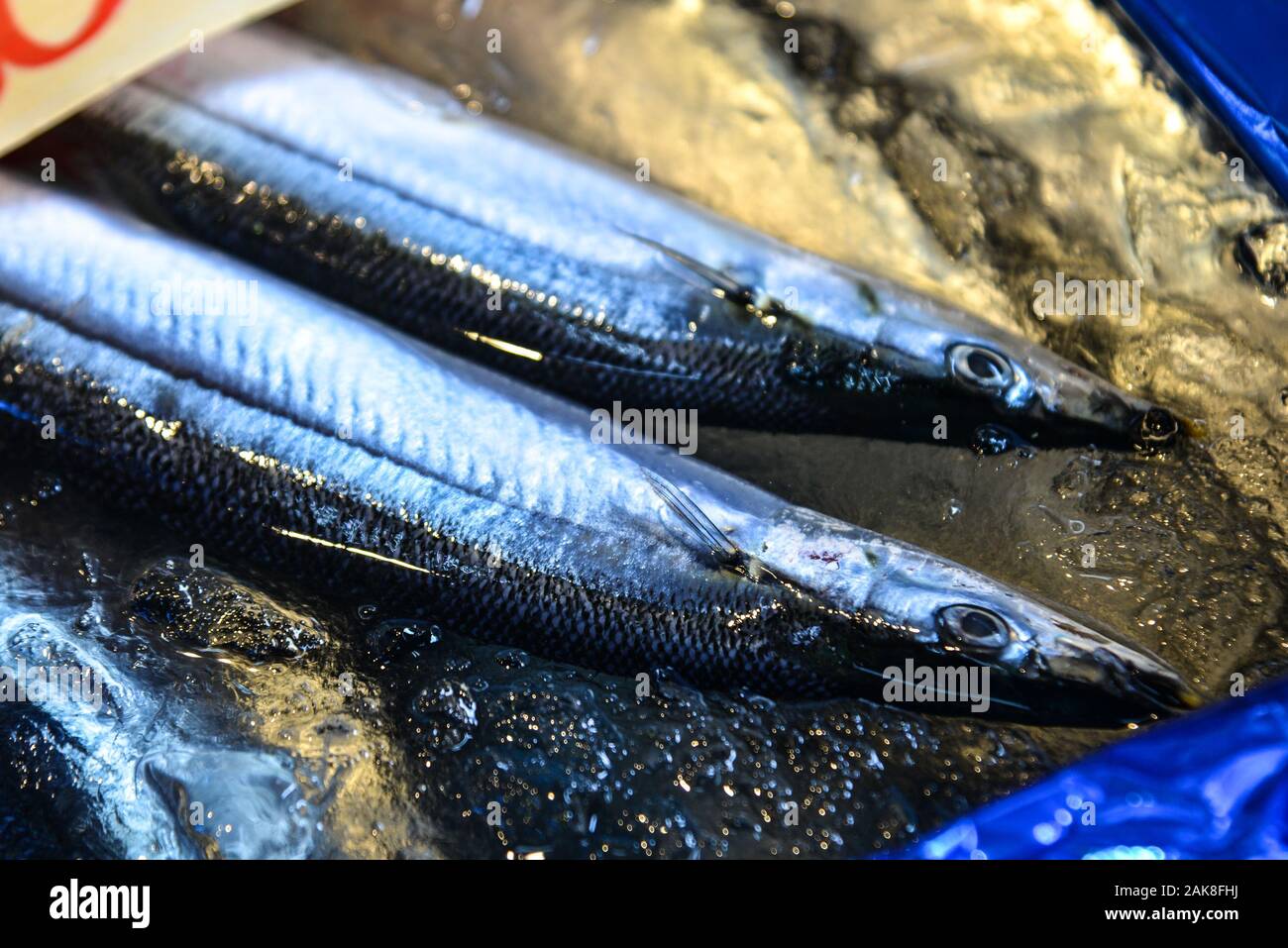 Fresh fish for sale at the local market in Aomori, Japan Stock Photo ...