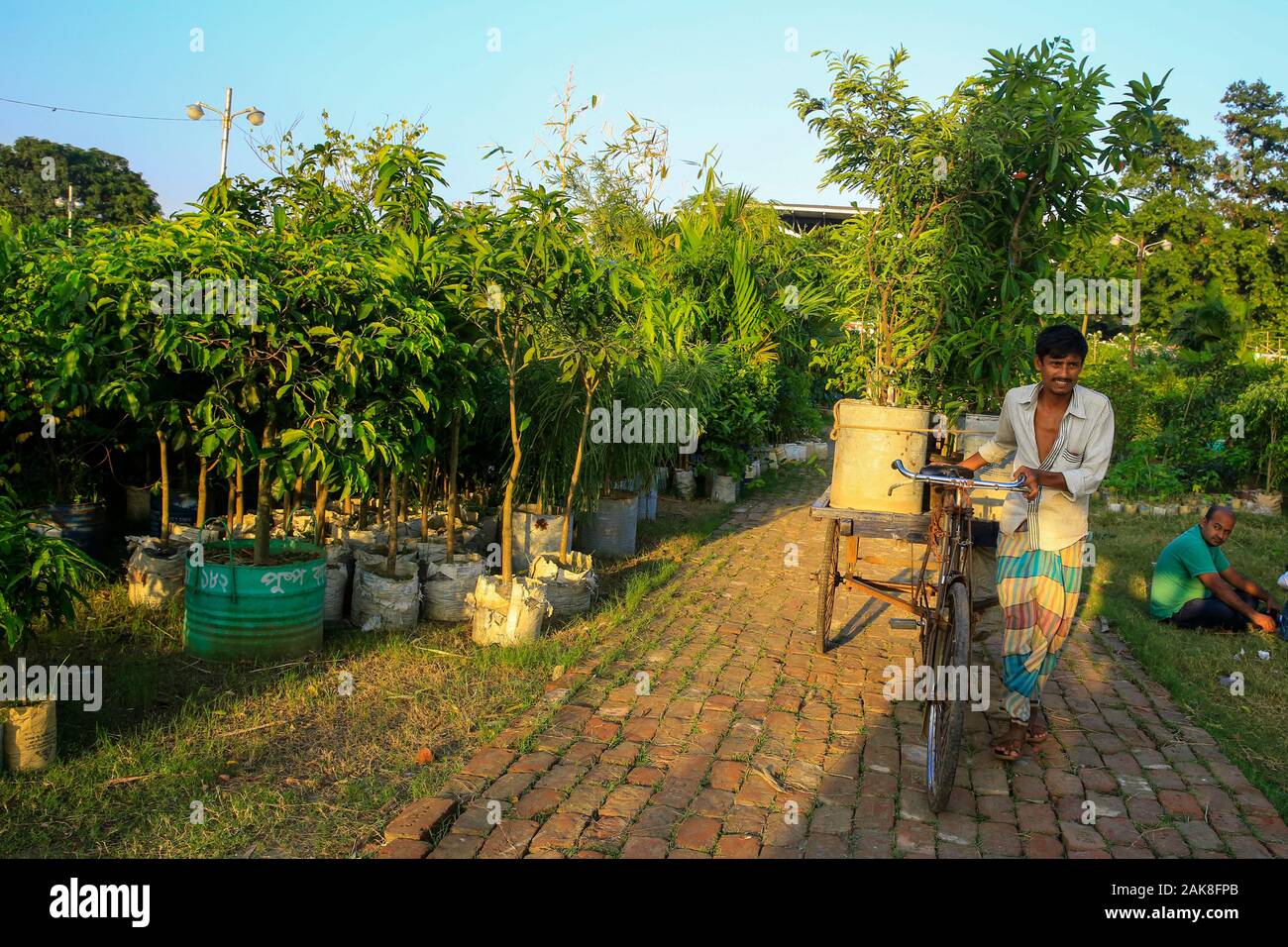 Plants being transported on a rickshaw van were taken from the National ...