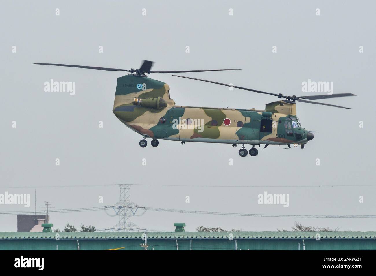 Saitama, Japan - Nov 3, 2019. Kawasaki CH-47J Chinook helicopter of Air ...