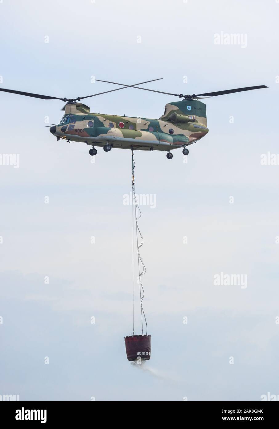 Saitama, Japan - Nov 3, 2019. Kawasaki CH-47J Chinook helicopter of Air ...