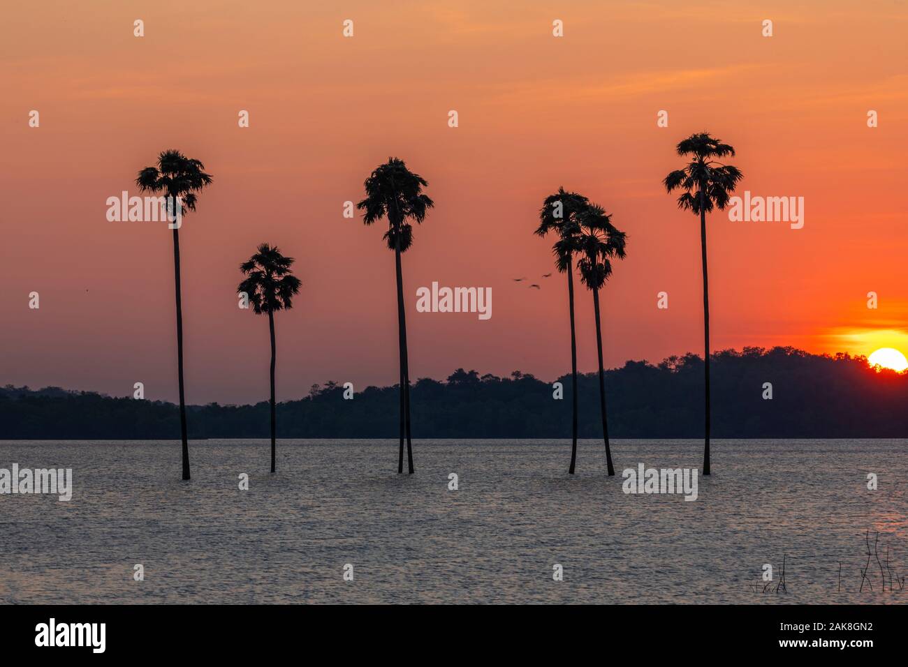 Beautiful Sunset in Malampuzha reservoir, view from Kava view point ...