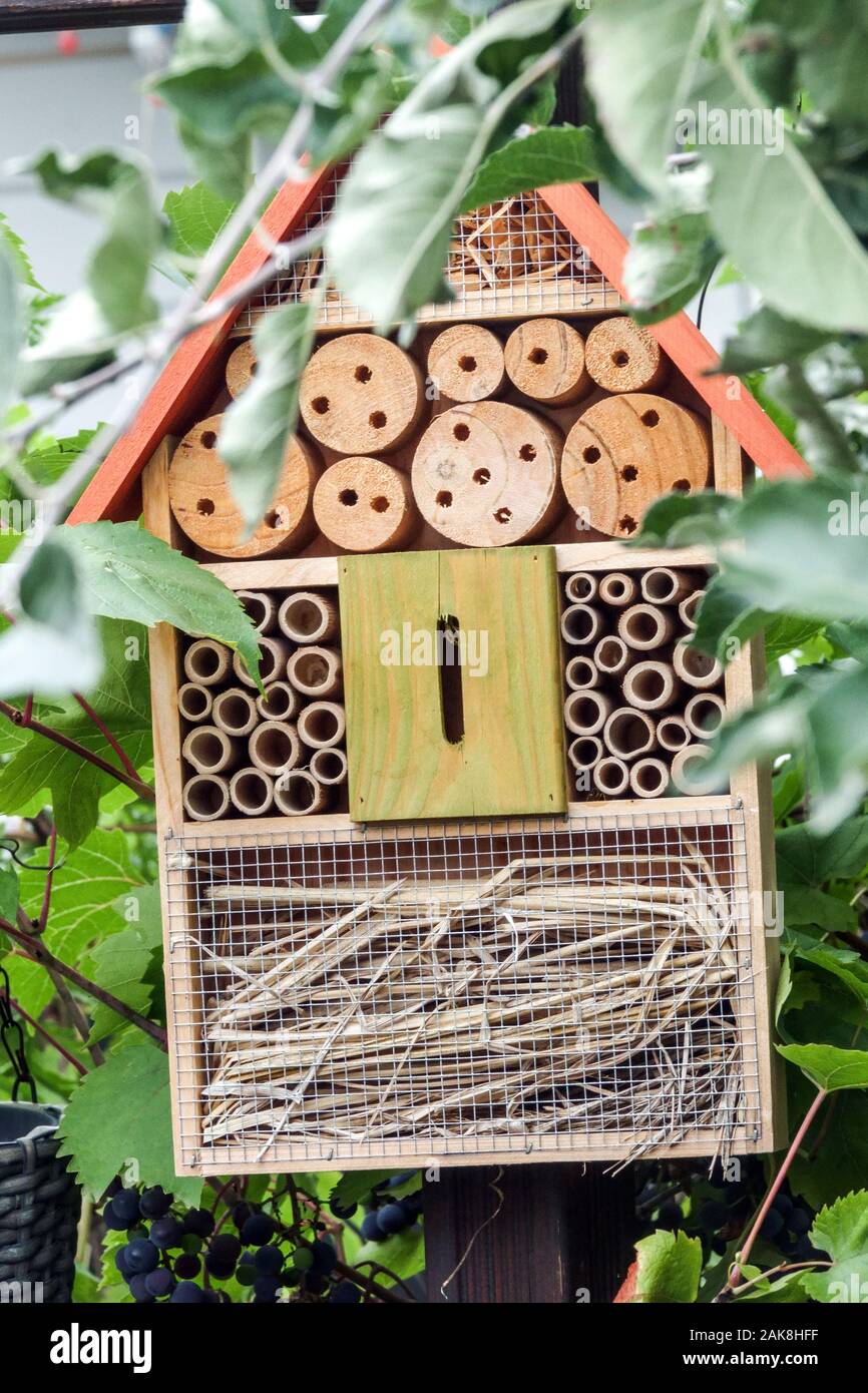 Bug hotels hi-res stock photography and images - Alamy