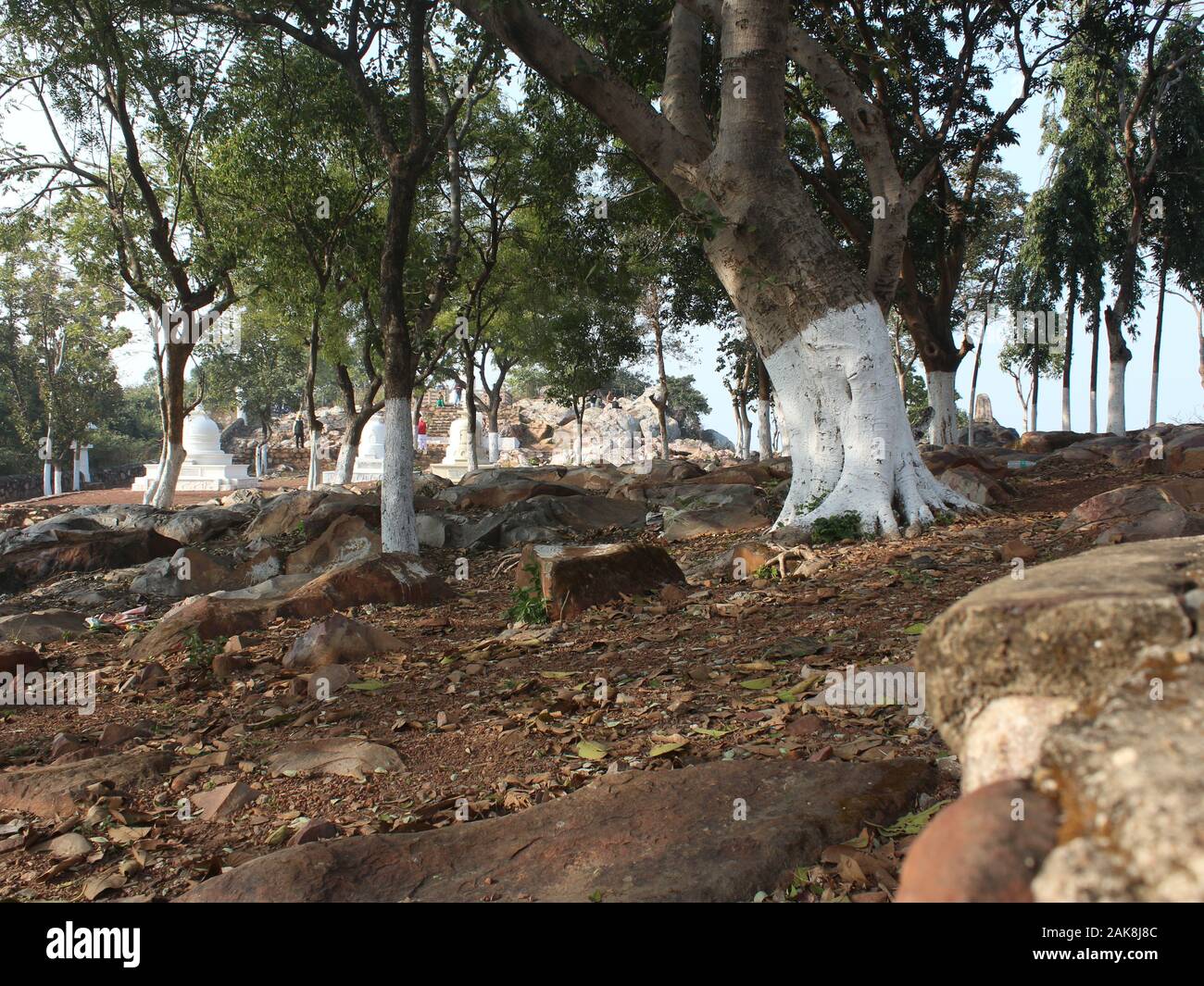 Landscape of lake and trees at rajgir, bihar, india Stock Photo - Alamy