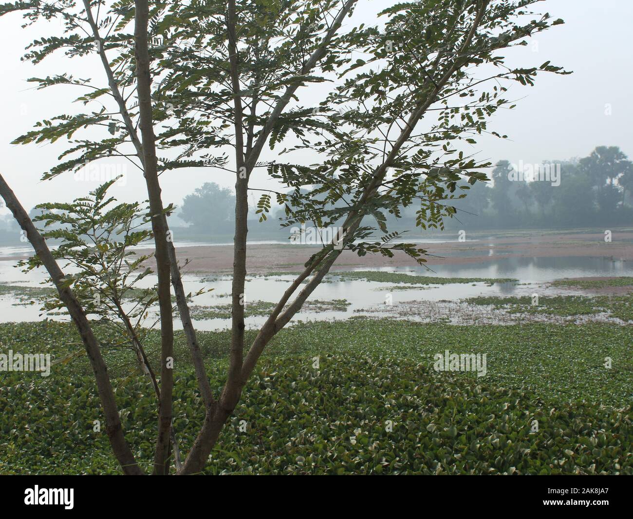 Rajgir hi-res stock photography and images - Alamy